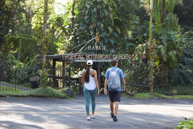 Big Island: Full-Day Sightseeing & Waterfalls Adventure Tour - Exploring the Big Island: Full-Day Sightseeing & Waterfalls Adventure Tour