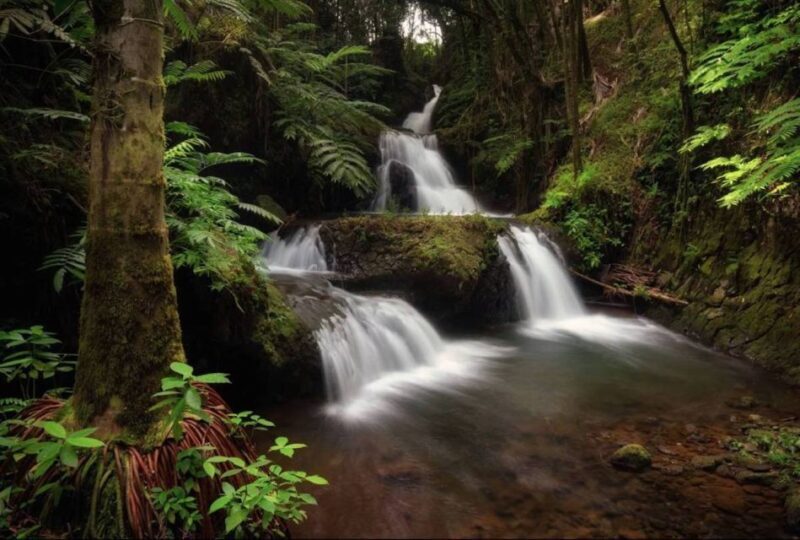 Big Island: Full-Day Sightseeing & Waterfalls Adventure Tour - What the Tour Includes and Practical Details