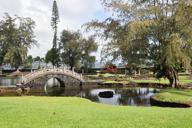 Big Island Half-Day Tour with Lunch - Wrapping It Up: Who Is This Tour For?