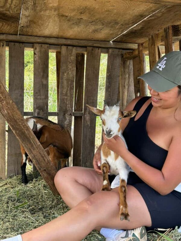 Big Island: Hand Feed & Cuddle Baby Goats - Key Points