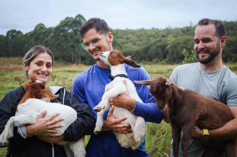 Big Island: Hand Feed & Cuddle Baby Goats - A Genuine Taste of Hawaiian Farm Life