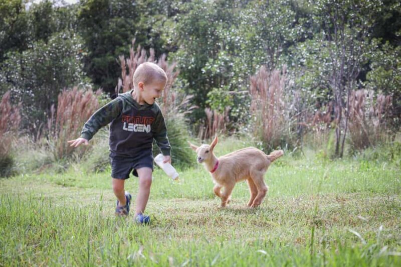 Big Island: Hand Feed & Cuddle Baby Goats - Meeting Point and Practical Details