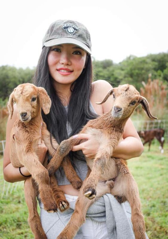 Big Island: Hand Feed & Cuddle Baby Goats - The Experience’s Value and Who Will Love It