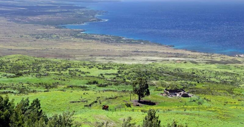 Big Island, Hawaii: Polaris Slingshot Rental - What Travelers Say