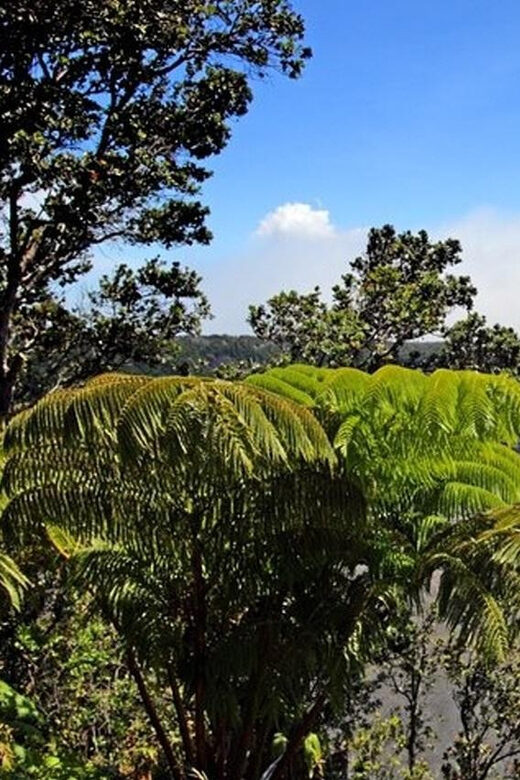 Big Island Hawaii Volcano Day tour from Oahu and Hotel PU - FAQs