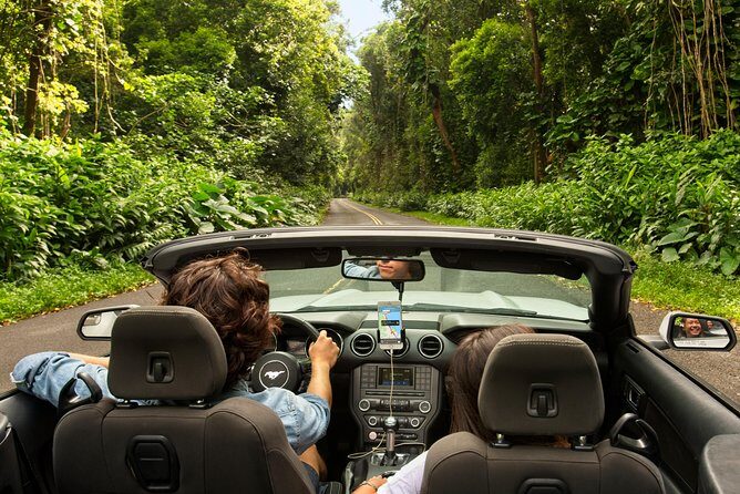 Big Island - Hawaii Volcanoes National Park Driving Tour - The Sum Up: Is It Right for You?
