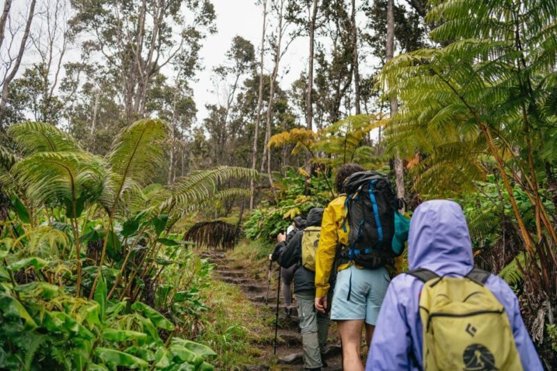 Big Island: Hawai'i Volcanoes National Park Guided Hike - Practical Tips for Participants