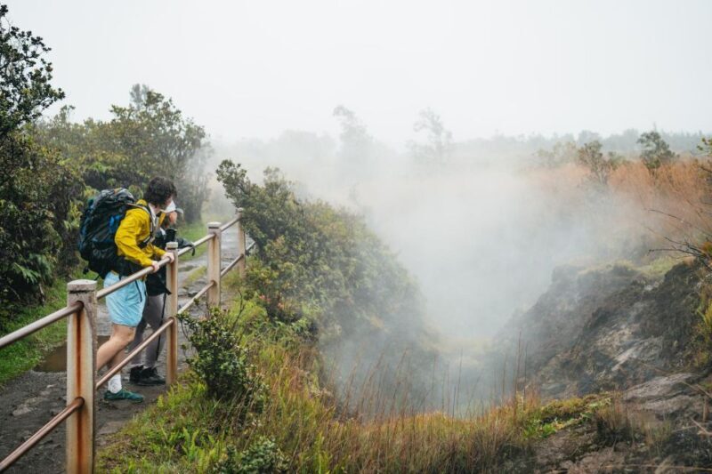 Big Island: Hawai'i Volcanoes National Park Guided Hike - Who Will Love This Tour?