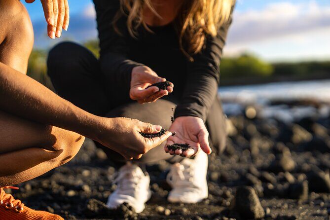 Big Island Highlights: Coffee, Volcano, Black Sands & Waterfall - The Majesty of Waipio Valley