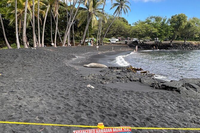 Big Island Highlights Tour From Kona and Waikoloa - Wrapping Up the Day