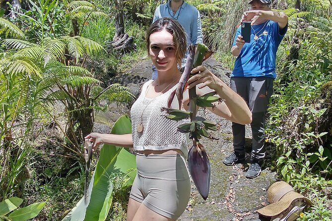 Big Island Jungle Tour with Banana and Guava Green Tea - Analyzing the Value