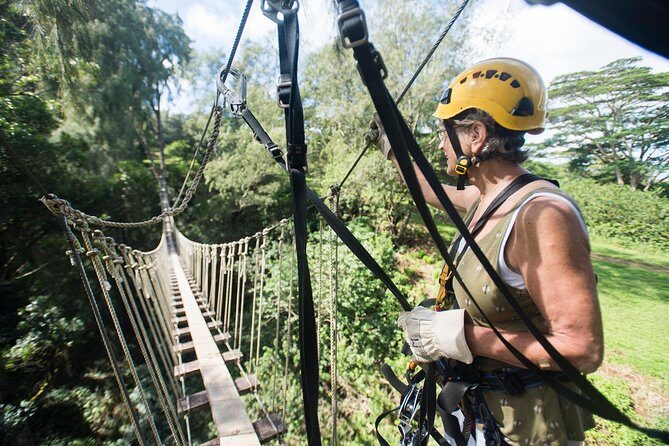Big Island Kohala Canopy Zipline Adventure - Exploring the Kohala Canopy Zipline: What You Can Expect