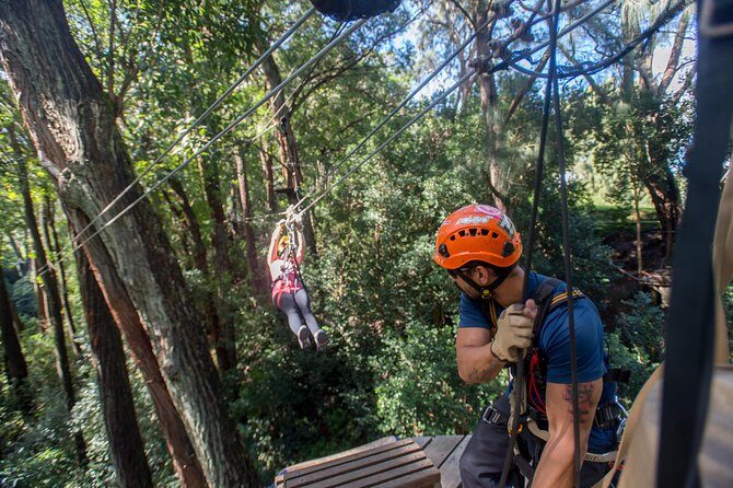 Big Island Kohala Canopy Zipline Adventure - FAQs