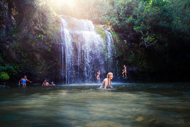 Big Island Kohala Zip and Dip Tour from Kona - What to Expect from the Kohala Zip and Dip Tour