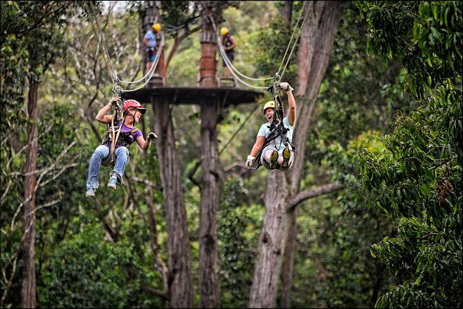 Big Island Kohala Zip and Dip Tour from Kona - FAQ