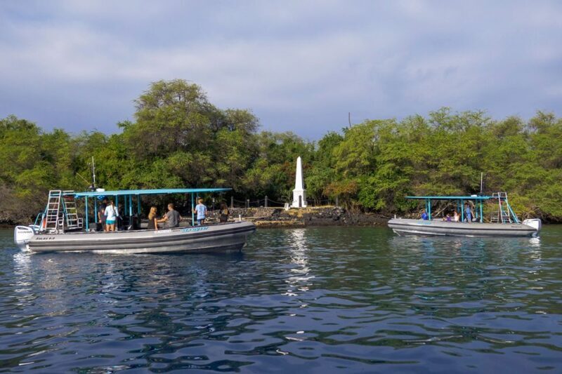 Big Island: Kona Half-Day Boat Tour with Snorkeling & Lunch - Final Thoughts: Who Should Book This Tour?