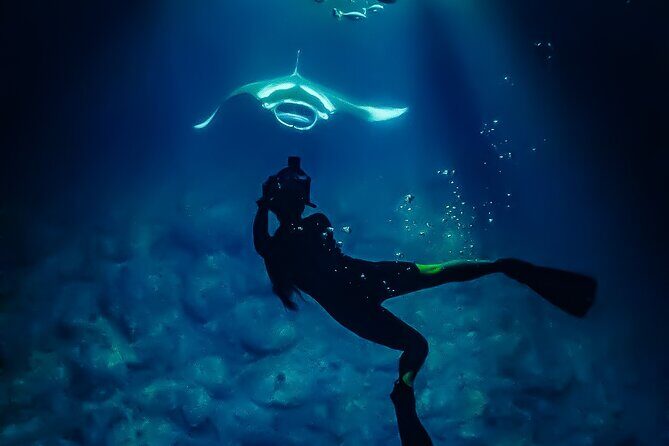 Big Island, Kona Manta Ray Night Snorkel Tour - Who Should Consider This Tour?