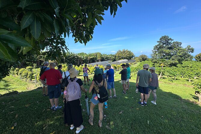 Big Island of Hawaii South Kona Historical Day Tour - Practical Details and What to Expect