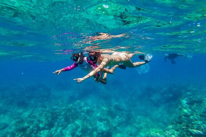 Big Island Snorkel Cruise from Waikoloa - Price & Value Perspective