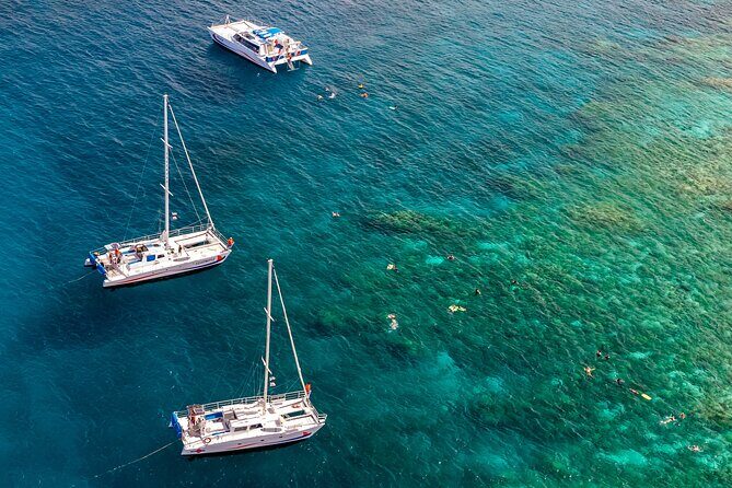 Big Island Snorkel Cruise from Waikoloa - Who Should Consider This Tour?