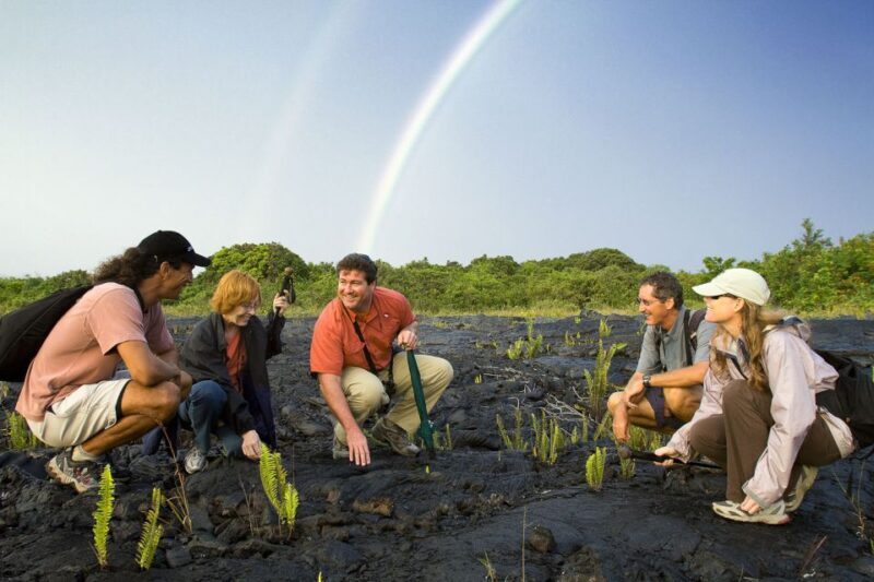 Big Island: Volcano, Chocolate & Waterfall Adventure - Final Thoughts