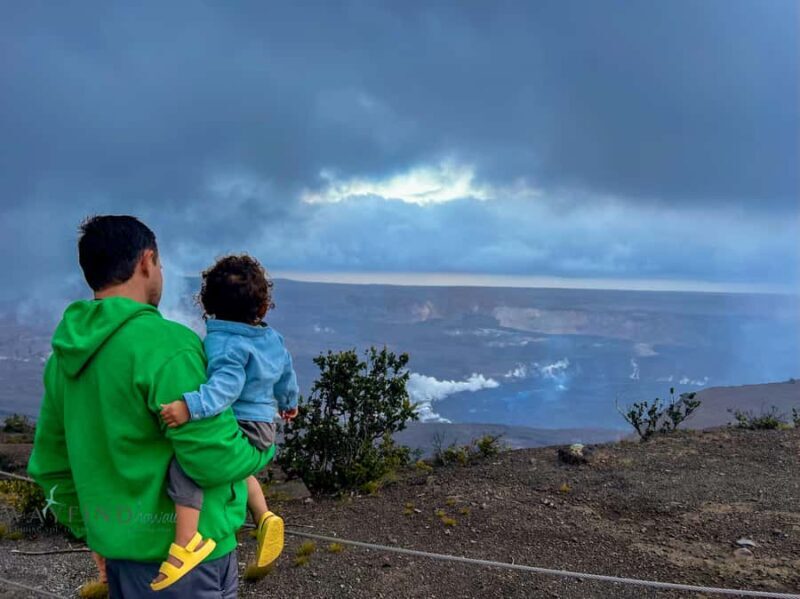 Big Island: Volcano, Waterfalls & Coffee Group Tour - Who Will Love This Tour?