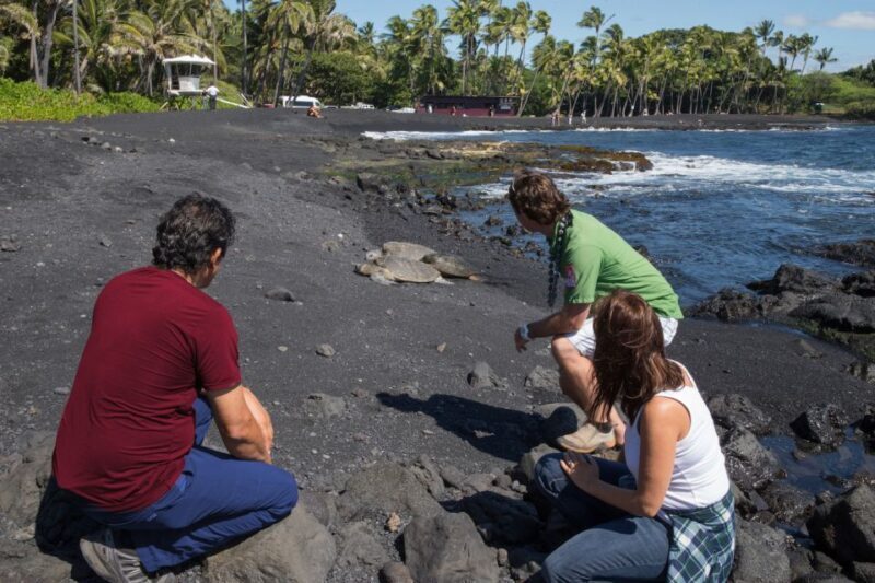 Big Island: Volcanoes, Waterfalls, & Coffee Farm Day-Trip - Who Will Love This Tour?