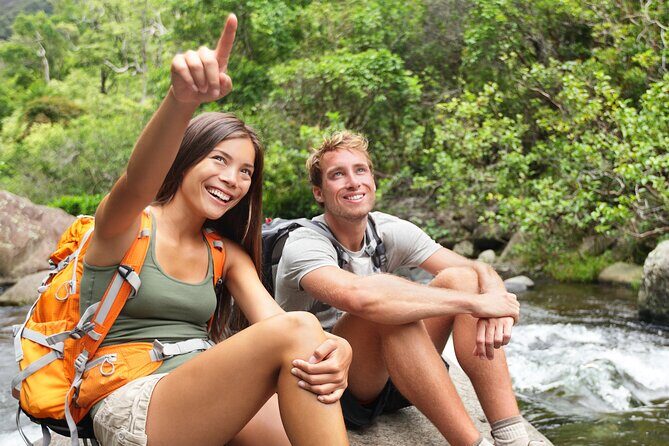 Big Island Waterfall Swim and Hike with Hilo Cruise Ship Pickup - Introducing the Hike and Waterfalls Experience