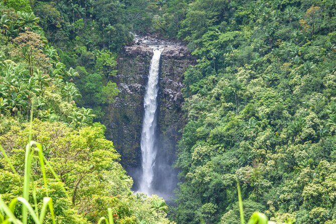 Big Island Waterfall Swim and Hike with Hilo Cruise Ship Pickup - The Sum Up