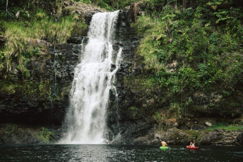 Big Island: Waterfall Tour with Swimming & Botanical Garden - Who Will Love This Tour?