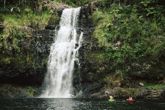 Big Island Waterfalls Tour with Swimming and Botanical Garden - An In-Depth Look at the Experience