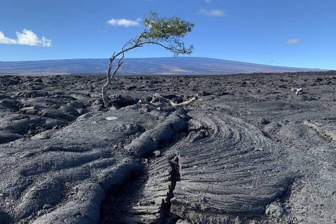 Big Island Waterfalls Tour with Swimming and Botanical Garden - Frequently Asked Questions