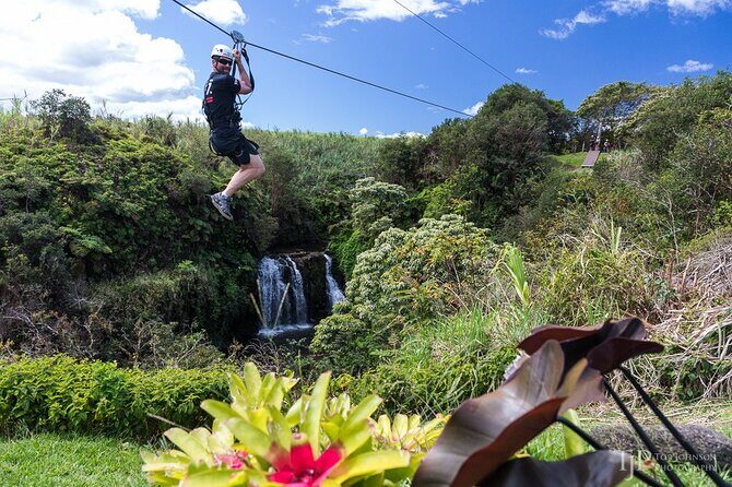 Big Island Zipline over KoleKole Falls w/ Hilo Cruise Ship Pickup - What to Expect: An Overview of the Experience
