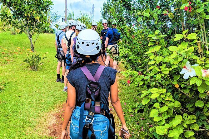 Big Island Zipline over KoleKole Falls w/ Hilo Cruise Ship Pickup - Practical Details: What Travelers Should Know