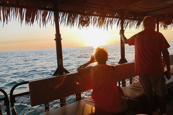 Big Kahuna Sunset Dolphin Cruise Experience - Final Thoughts: Who Should Consider This Tour?