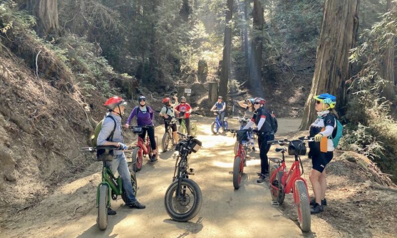 Big Sur's Old Coast Road E-Bike Tour - The Itinerary: What to Expect on the Trail