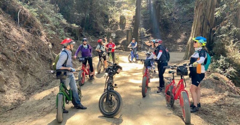 Big Sur's Old Coast Road E-Bike Tour - The Sum Up