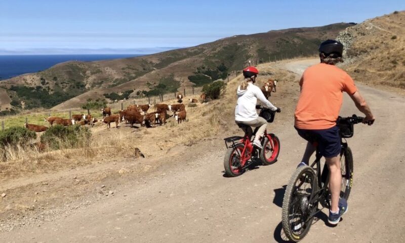 Big Sur's Old Coast Road E-Bike Tour - FAQs