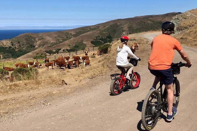 Big Sur's Old Coast Road eBike Tour - An In-Depth Look at the Big Sur Old Coast Road eBike Tour