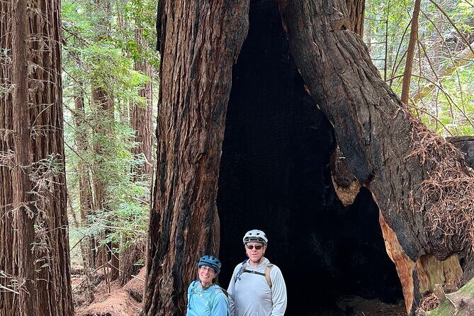 Big Sur's Old Coast Road eBike Tour - Practical Tips for Participants