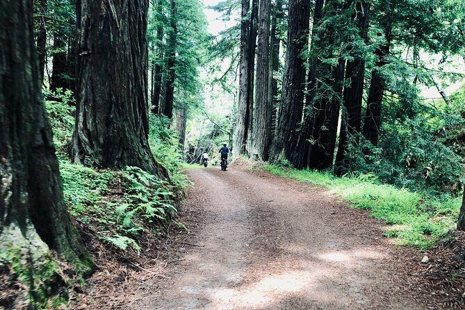 Big Sur's Old Coast Road eBike Tour - The Sum Up: Who Will Love This Tour?