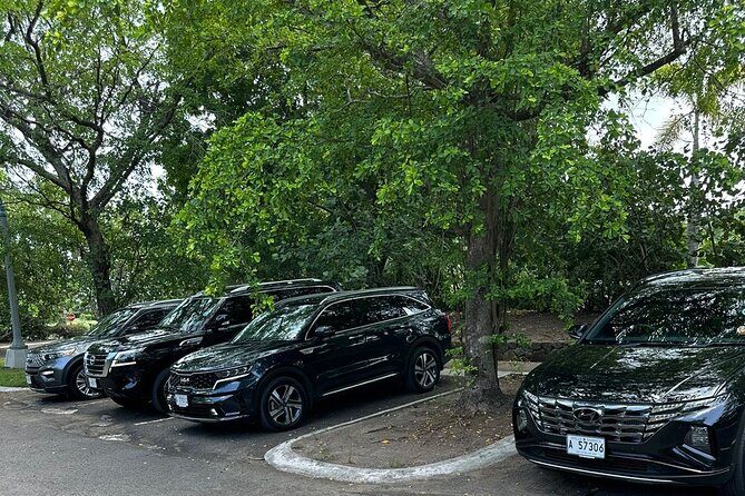 Biggvee Premium Airport One Way Transfer - Who Will Benefit Most?