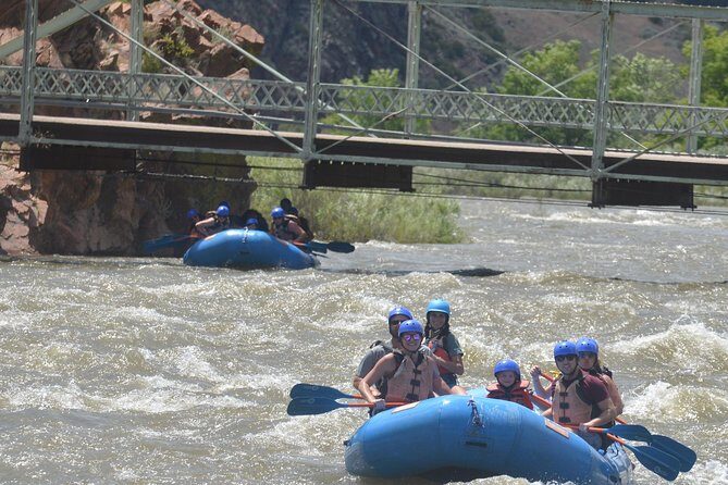 Bighorn Sheep Canyon Full-Day Experience - What Travelers Say: Authentic Feedback