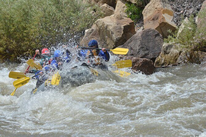 Bighorn Sheep Canyon Half Day Beginner Whitewater Rafting Tour - The Sum Up