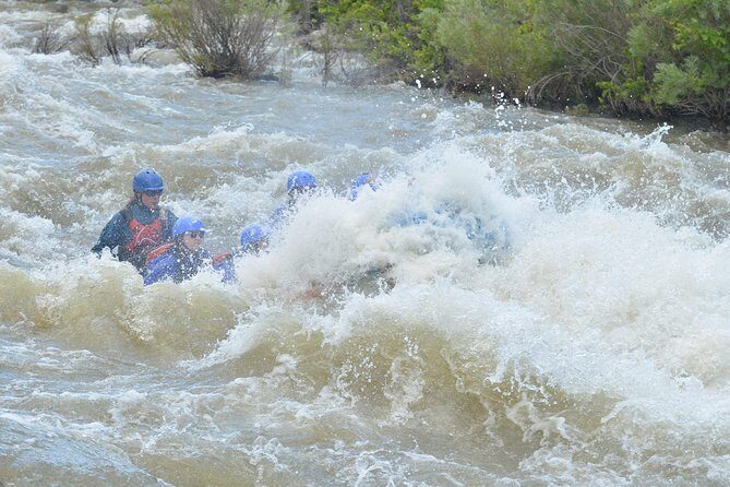 Bighorn Sheep Canyon Half-Day Rafting - An In-Depth Look at the Trip Experience