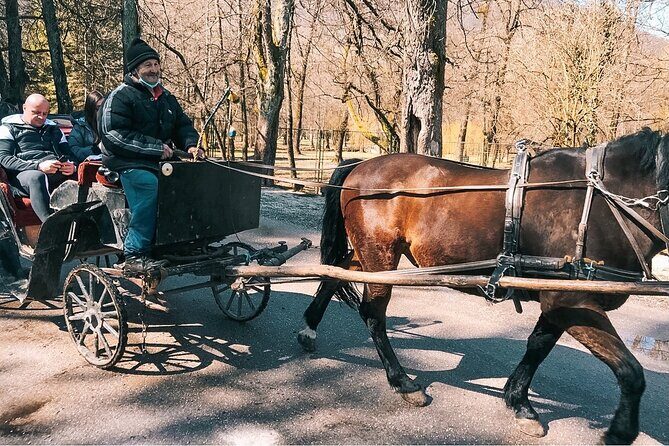 Bijambare Cave and Spring of River Bosna Tour - Who Will Love This Tour?