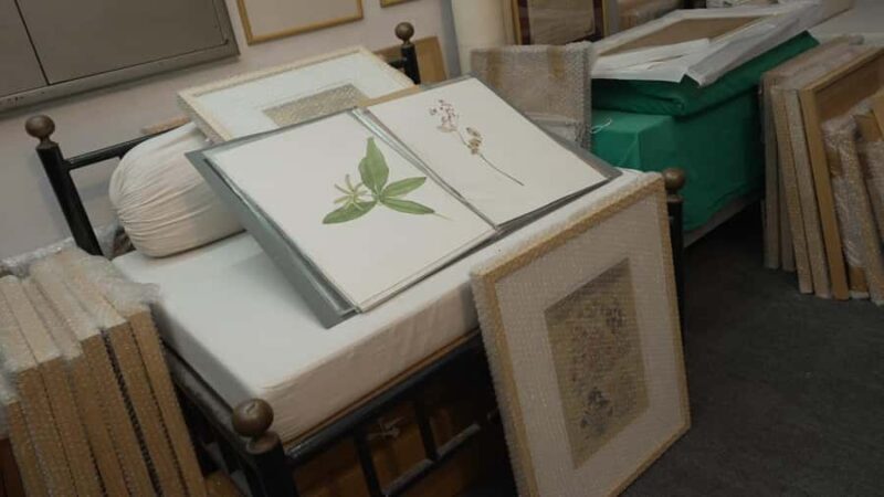 Bikaner: Botanical Miniature Painting Experience - An In-Depth Look at the Workshop