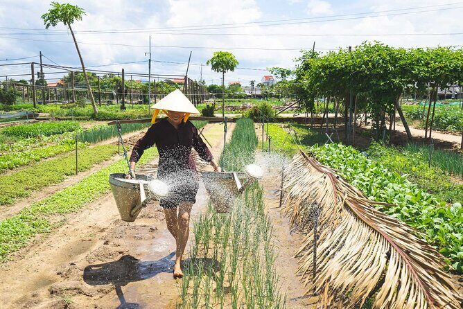 Bike and Bite Tour in Hoi An - Why This Tour Is a Great Choice