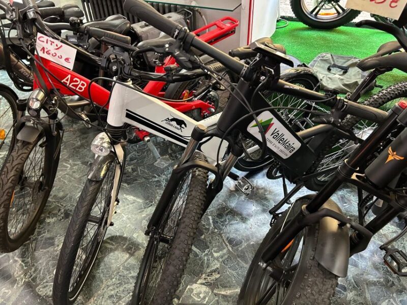 bike, ebike tandem rent - The Practical Details