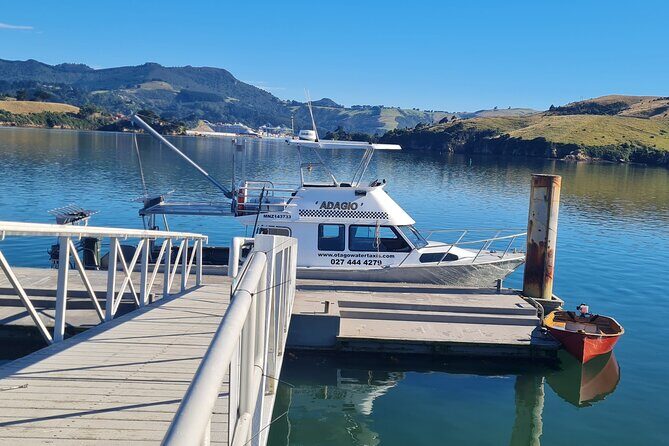 Bike Ferry Portobello to Port Chalmers and Quarantine Island - A Practical Look at Dunedin’s Bike Ferry from Portobello to Port Chalmers and Quarantine Island
